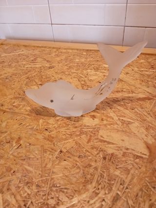 Delfino in vetro