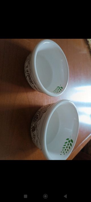 Duo ciotole mulino bianco