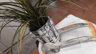 Cariola porta pianta