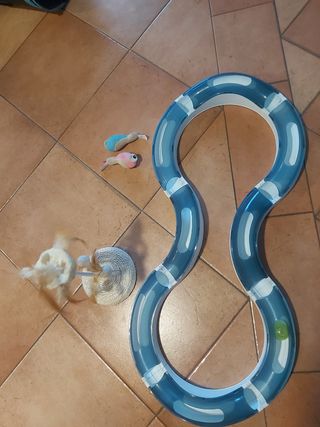 Set 4 pezzi giochi gatti