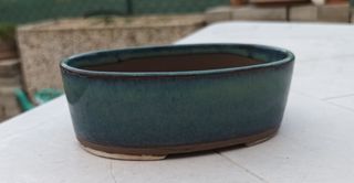 Vaso per Bonsai Ovale Originale