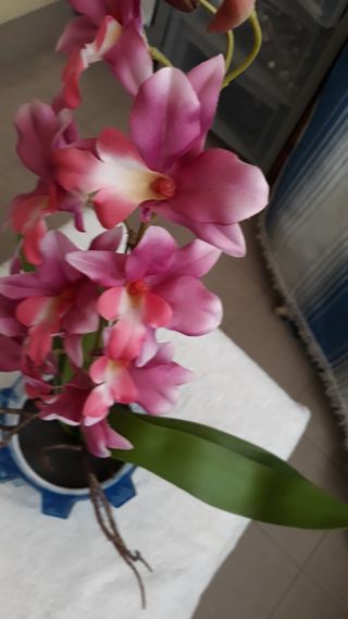 Orchidea artificiale