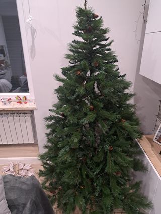 Albero di Natale