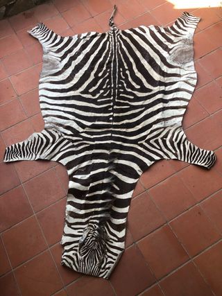 Tappeto in Vera pelle di Zebra