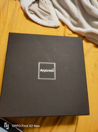 Ciotola in argento argenesi