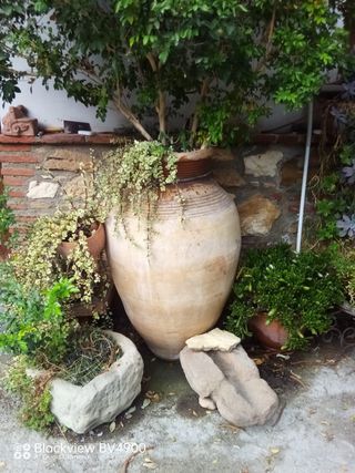 Giara scola mosto con vasi