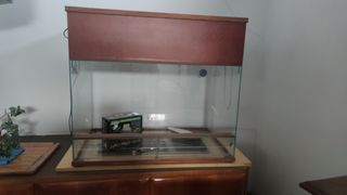 Terrario + strumenti