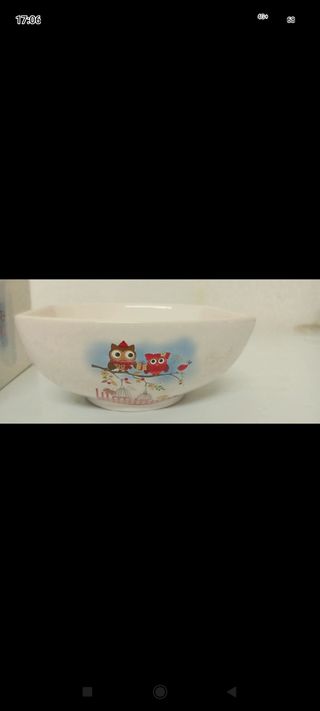 Ciotola in ceramica gufetti