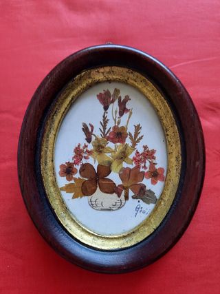 Fiori veri in cornice