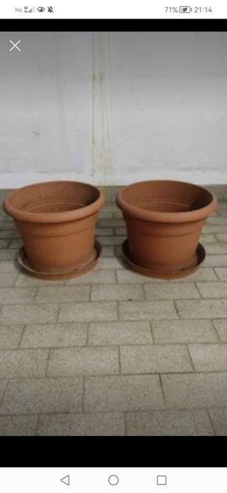 2 vasi con sottovasi