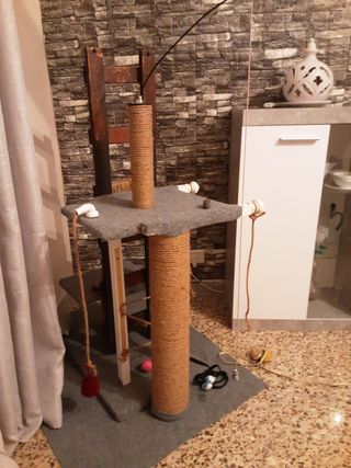 Tiragraffi per gatti