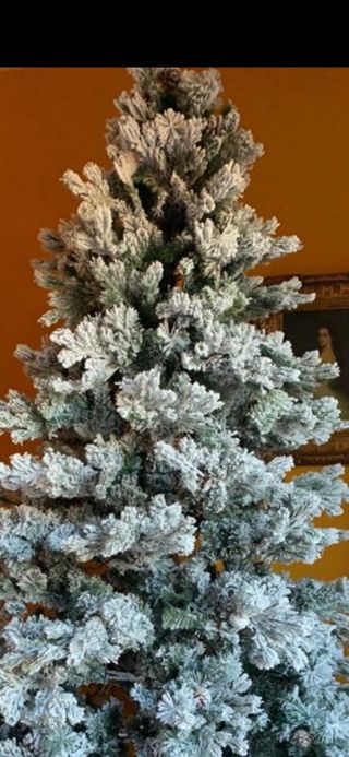 albero di natale innevato