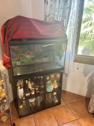 Acquario con mobiletto