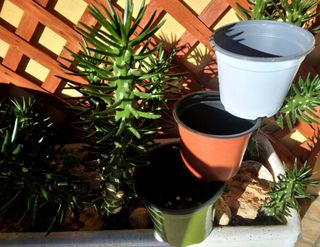 Set vasi plastica per piante