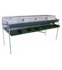 Gabbie galline ovaiole