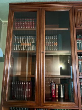 Libreria in legno con ante in vetro