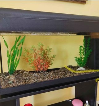 Acquario 80 litri completo