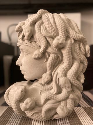 Testa medusa . Scultura di gesso