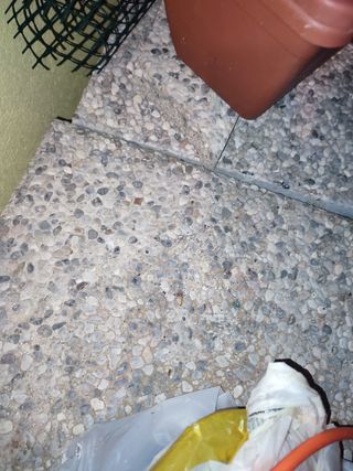 piastrelle " lavato " da giardino