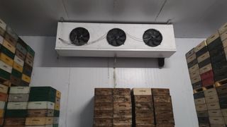 vendo