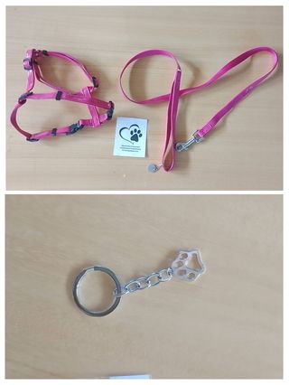 set guinzaglio pettorina taglia s/m