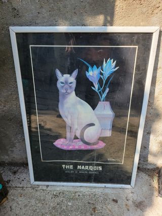 Quadro con gatto