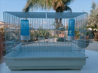 Gabbia per uccellini