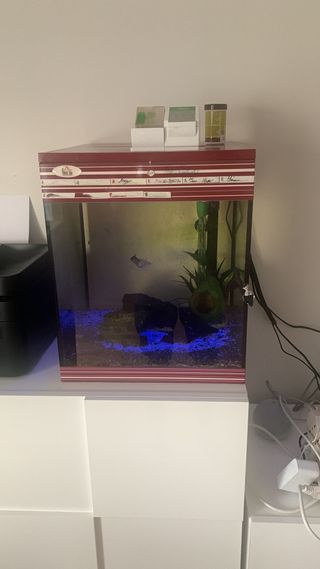 ACQUARIO SKOLL MEDIUM