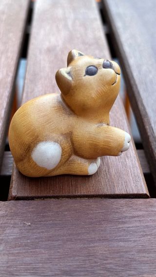 Thun - Gatto piccolo