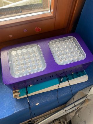 lampade led