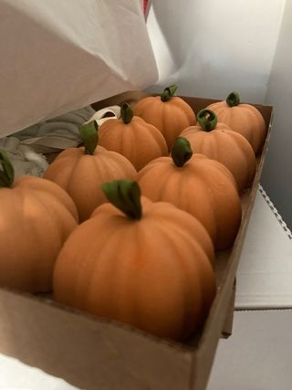 Zucca . Allestimento autunnale