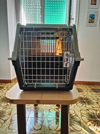 Kennel per cani taglia media