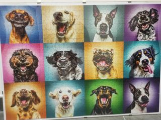 Puzzle cani con cornice