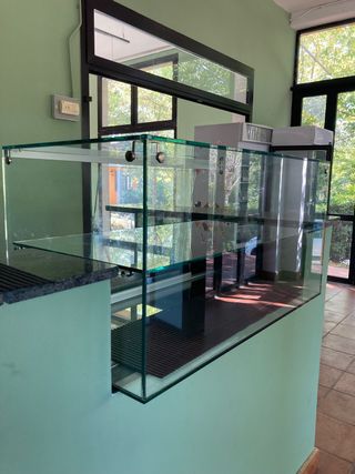 vetrina bar / pasticceria