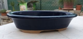 Vaso per Bonsai Originale Smaltato Blu Ovale