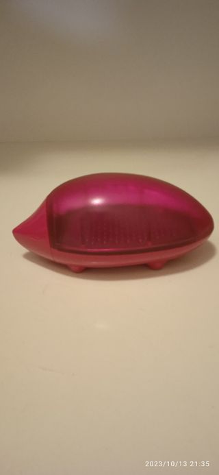 Grattugia porcospino