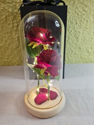 Rosa della Bella e la Bestia con led