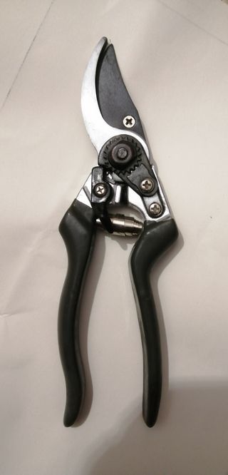 Forbici potatura