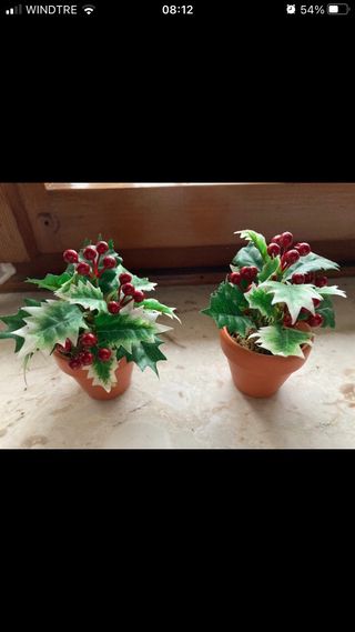 2 vasetti agrifoglio finto