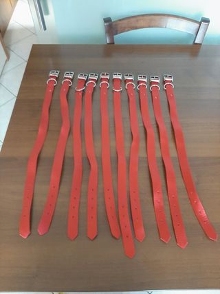 Stock di collari rossi per cani