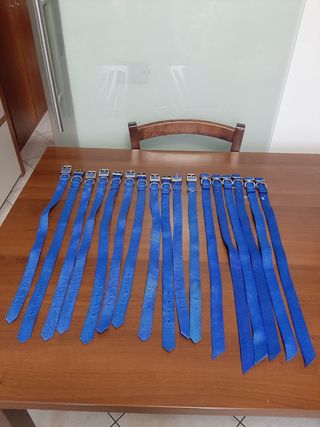 Stock di collari blu per cani