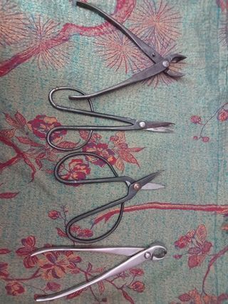 Strumenti per la cura del bonsai