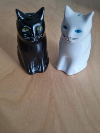 gatti porta sale e pepe
