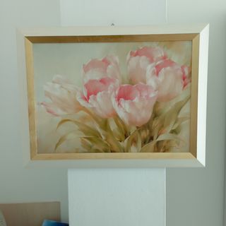 Tulipani tenui