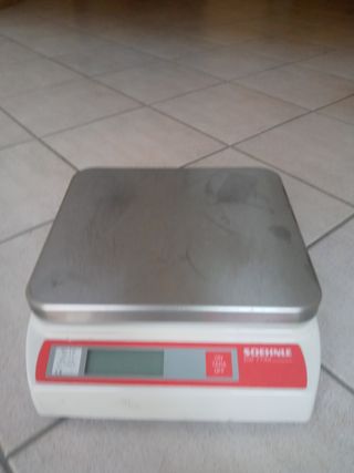 Bilancia digitale