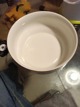 Zuppiera Richard Ginori