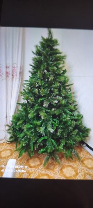 Albero di natale
