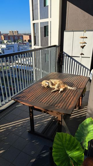 Tavolo in legno balau da esterno