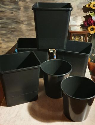 6 vasi per fiori recisi da fioraio