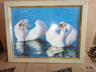 Quadro stampato cigni